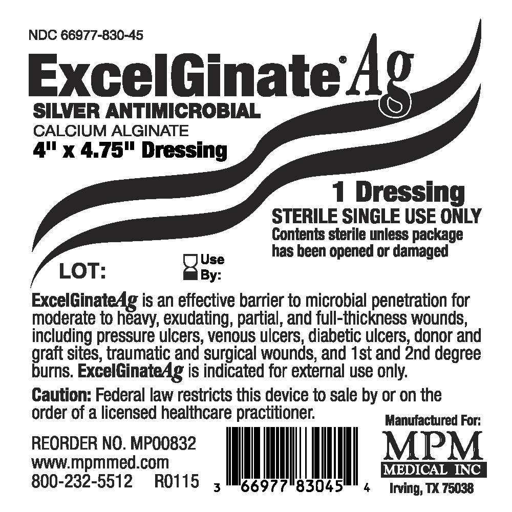 ExcelGinate AG Silver Alginate Dressing, 4 x 4.75 Inch