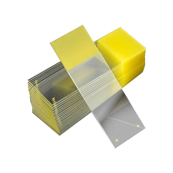Diamond White Glass Charged Microscope Slide, Yellow Frosted End, 25 x ...